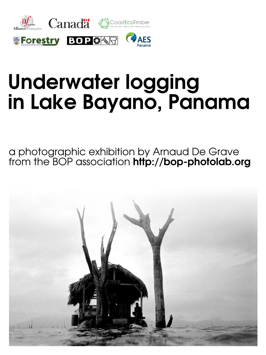 Underwater logging in Panama – EcoPalimpsesto(Photo)graphies